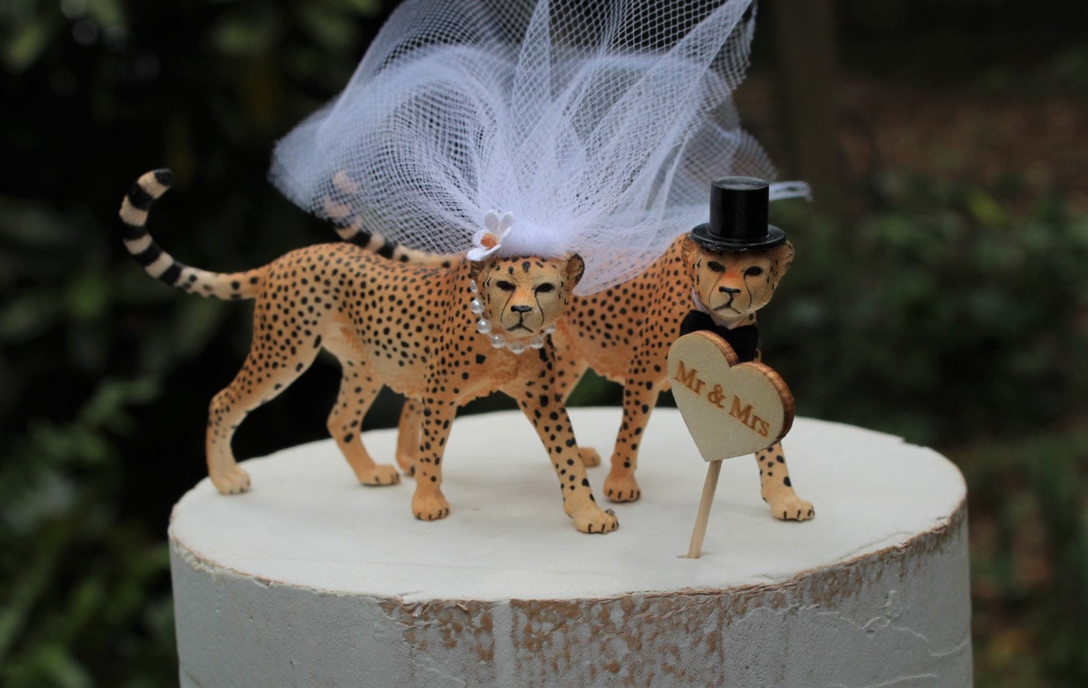 Cheetah-bride-groom-wildlife-safari-animal-unique-africa-wedding - Etsy