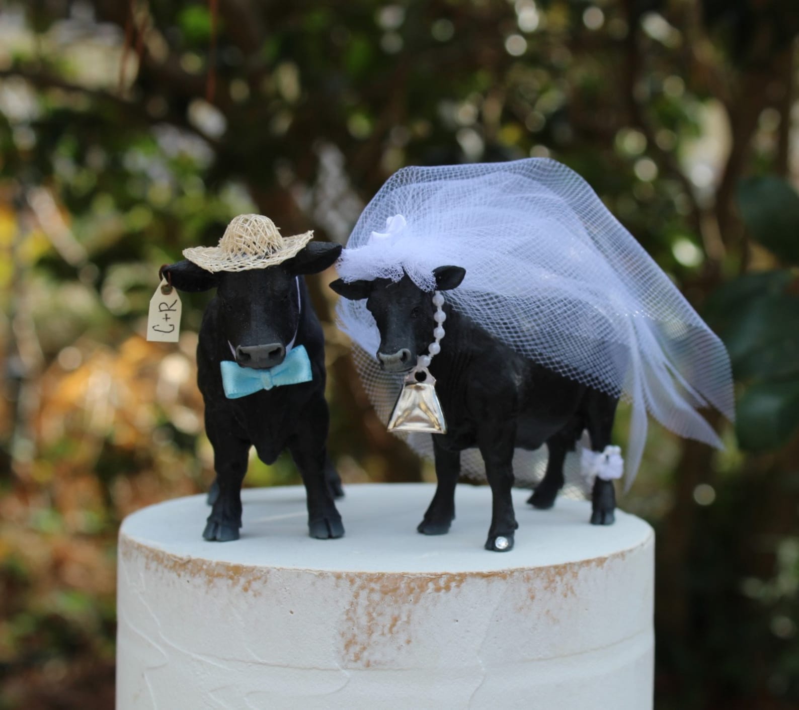 Cow Cake Topper-black Angus-wedding-bride-groom-funny-farm-animal ...