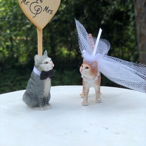 Cat-wedding-pet-animal-bride-groom - Etsy