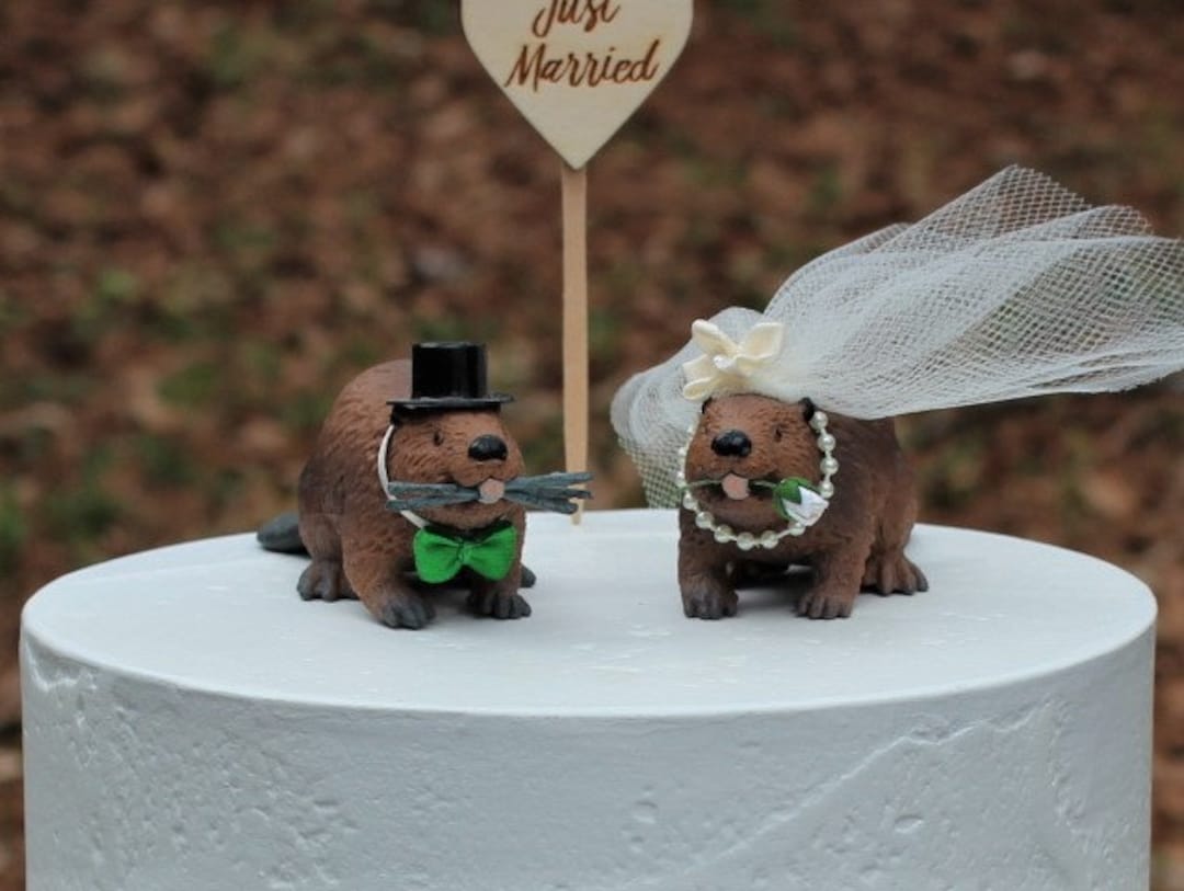 Beaver-wedding-bride-groom-unique-animal-beaver Dam-rustic-funny-unique ...