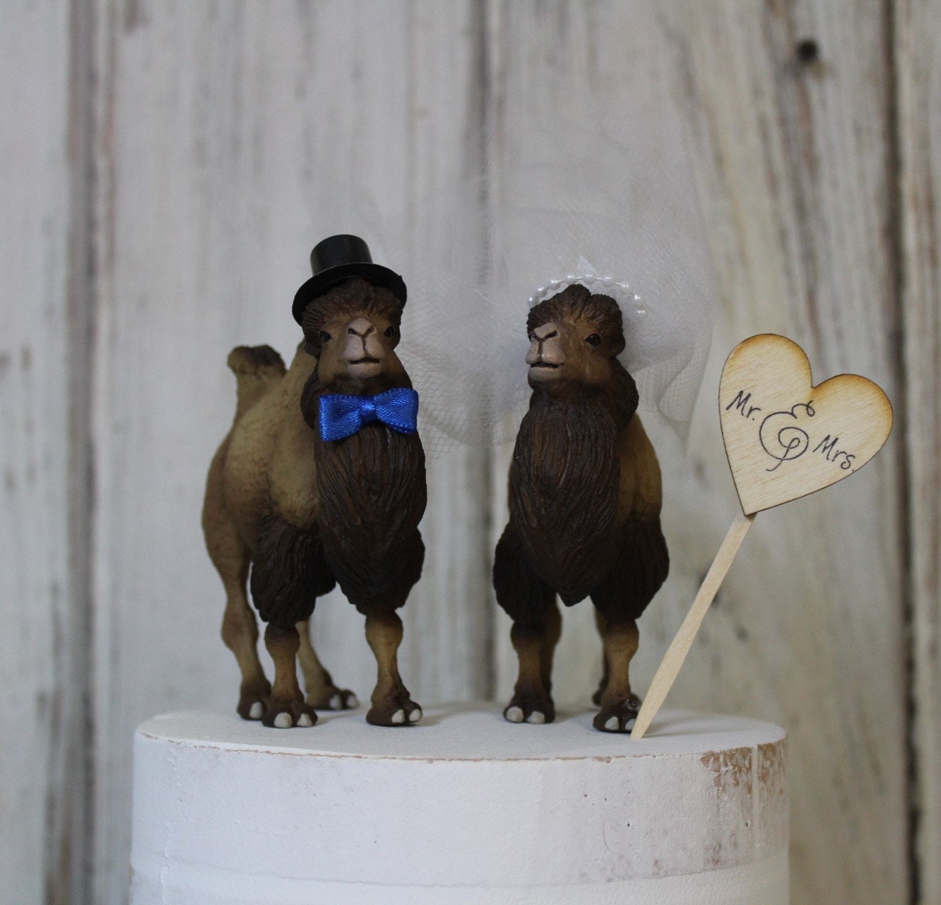 Camel Cake Topper, Bactrian-wedding-animal-bride-groom-desert-unique ...