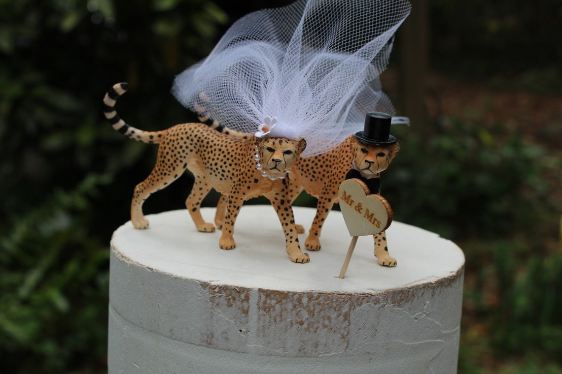 Cheetah-bride-groom-wildlife-safari-animal-unique-africa-wedding - Etsy