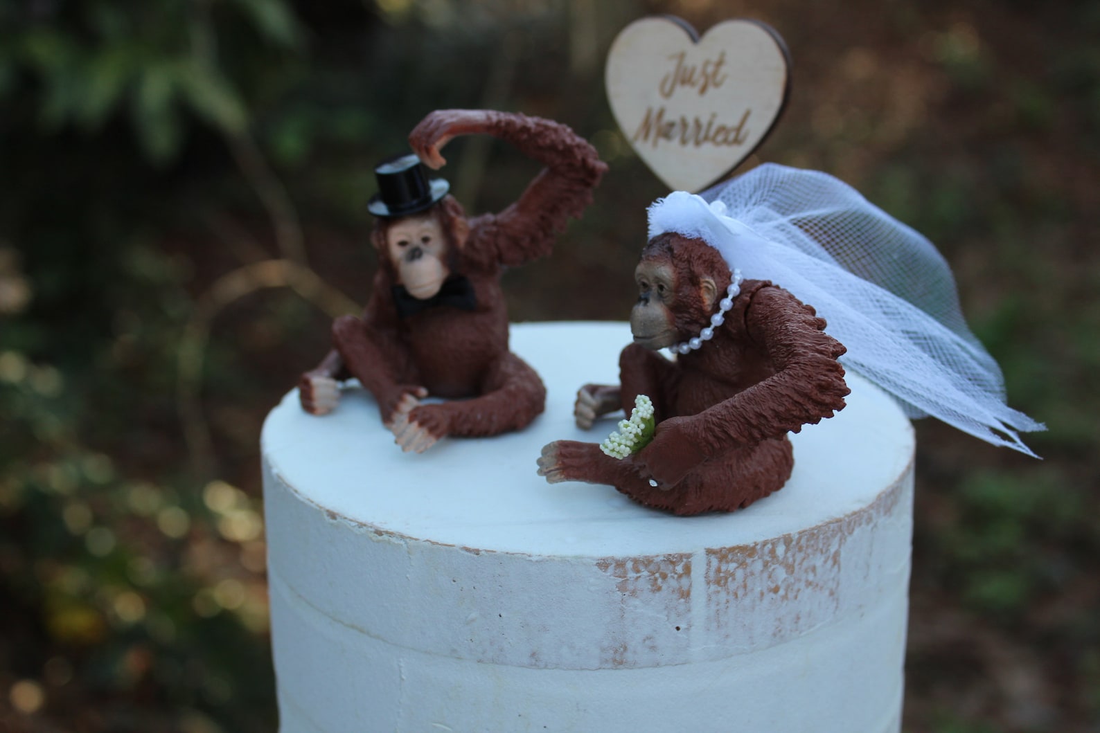 Orangutan-wedding-ape-bride-groom-monkey-wildlife-funny-unique-cake ...