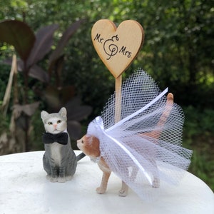 Cat-wedding-pet-animal-bride-groom - Etsy