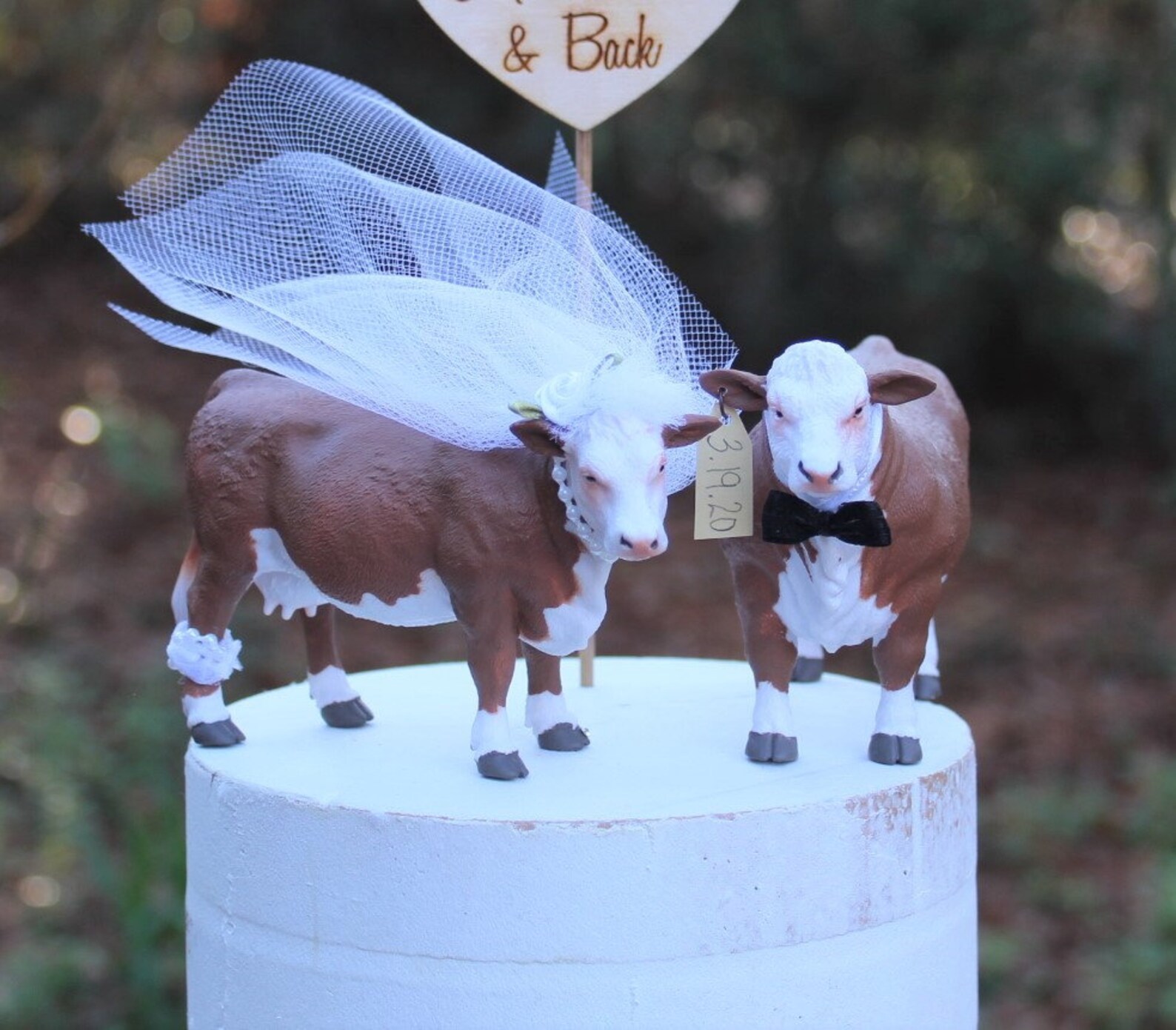 Cow-bull-wedding-cake - Etsy