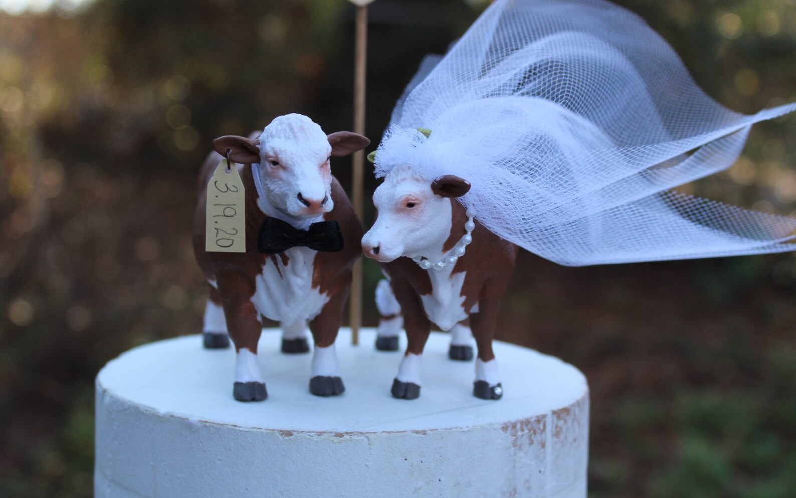 Cow-bull-wedding-cake - Etsy