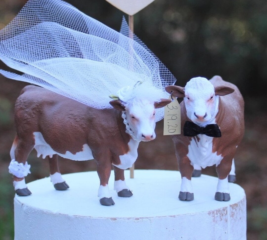 Cow-bull-wedding-cake Topper-bride-groom-farm-farmhouse-hereford-animal ...