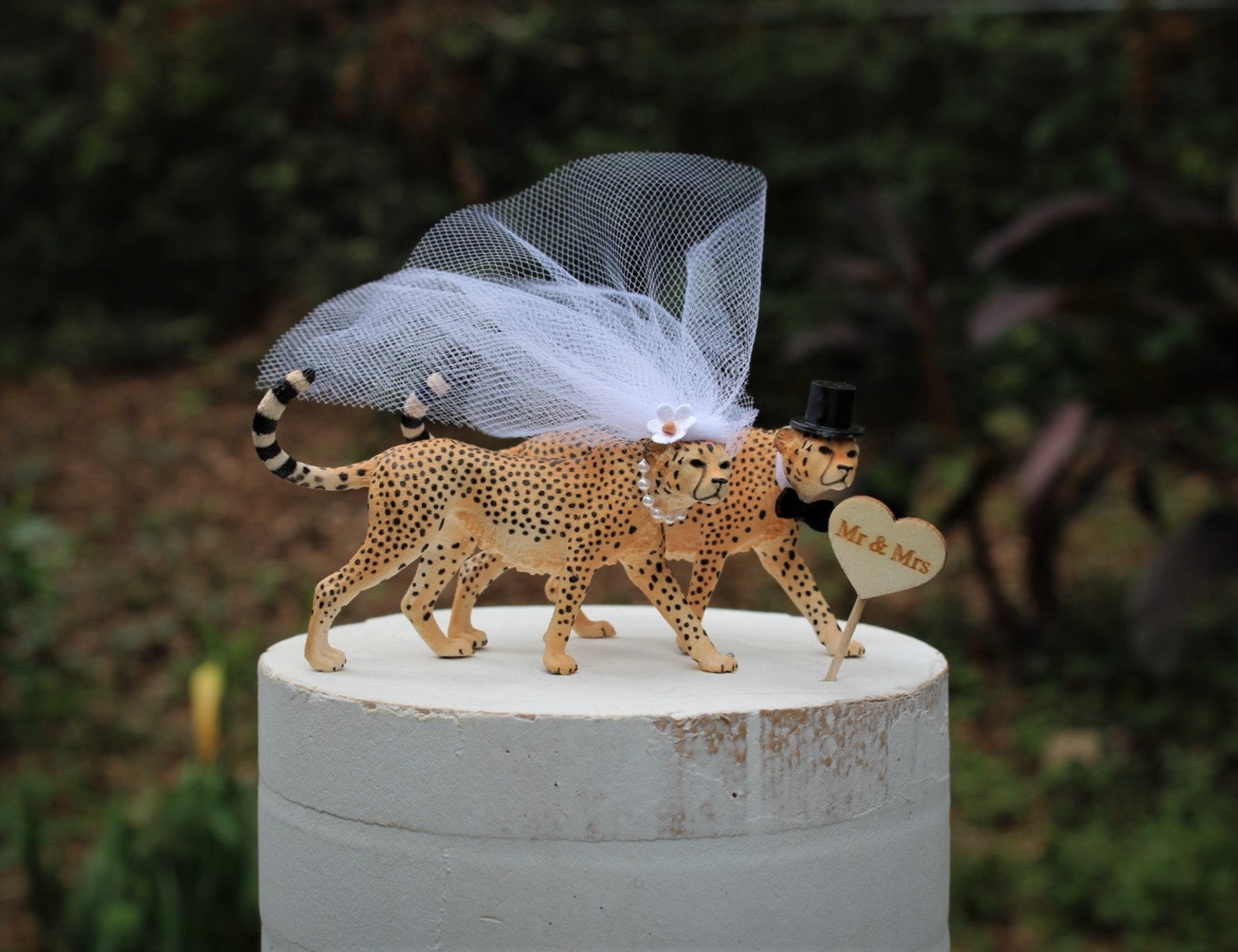 Cheetah-bride-groom-wildlife-safari-animal-unique-africa-wedding - Etsy