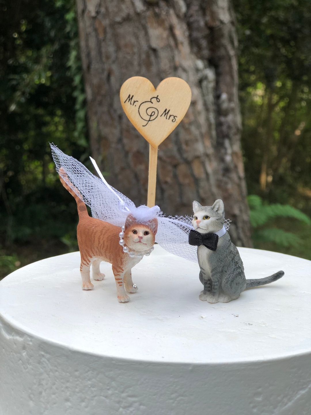 Cat-wedding-pet-animal-bride-groom - Etsy