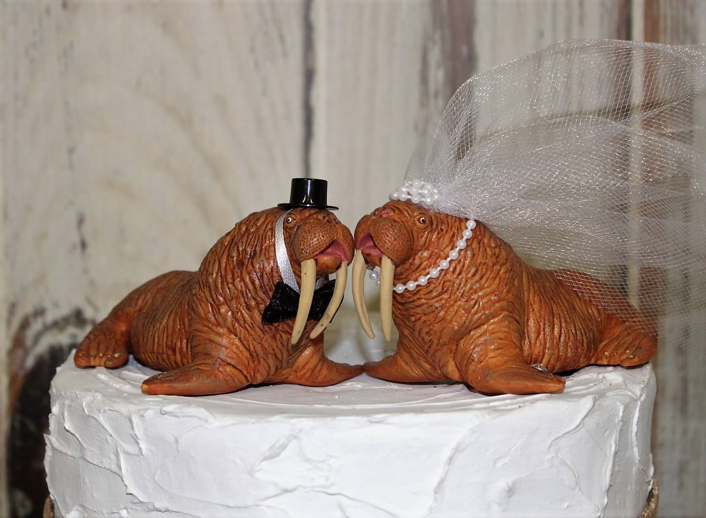 Walrus Birthday Cake