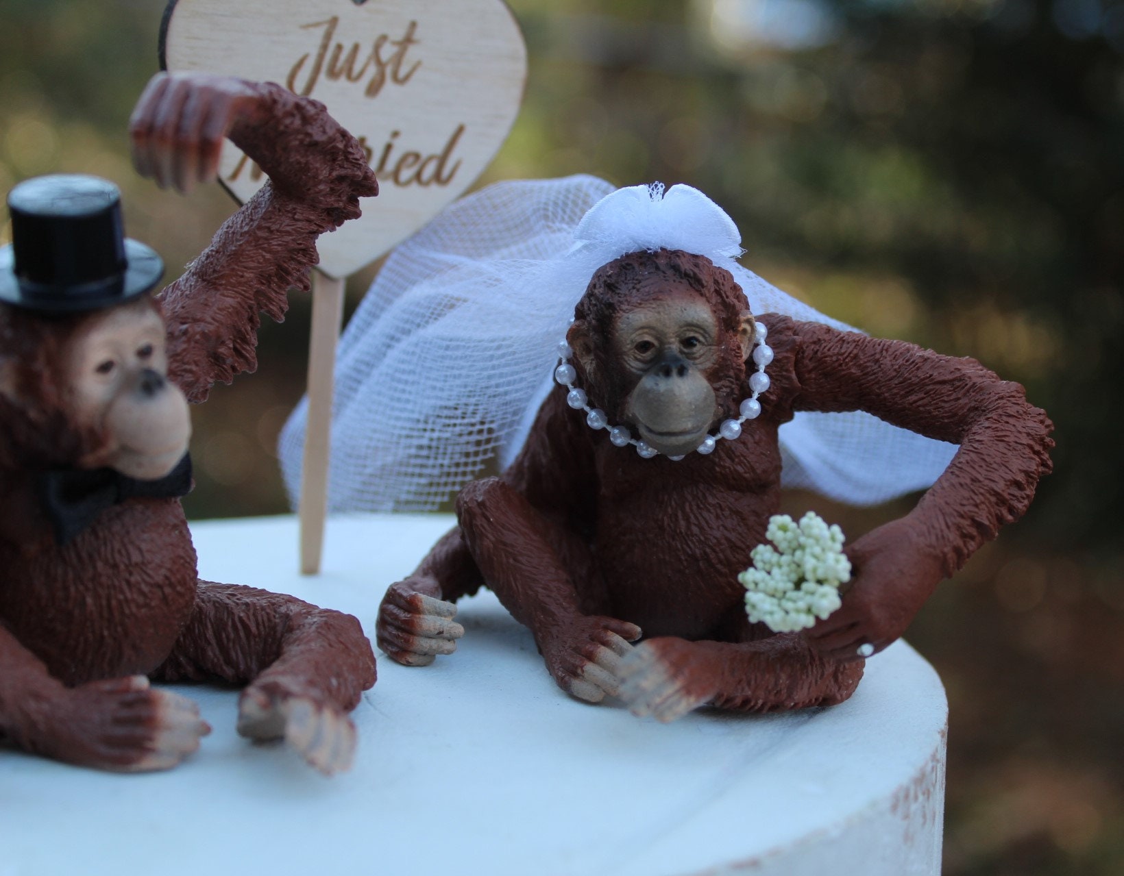 Orangutan-Wedding-Ape-Bride-Groom-Monkey-Wildlife-Funny-Unique | Etsy