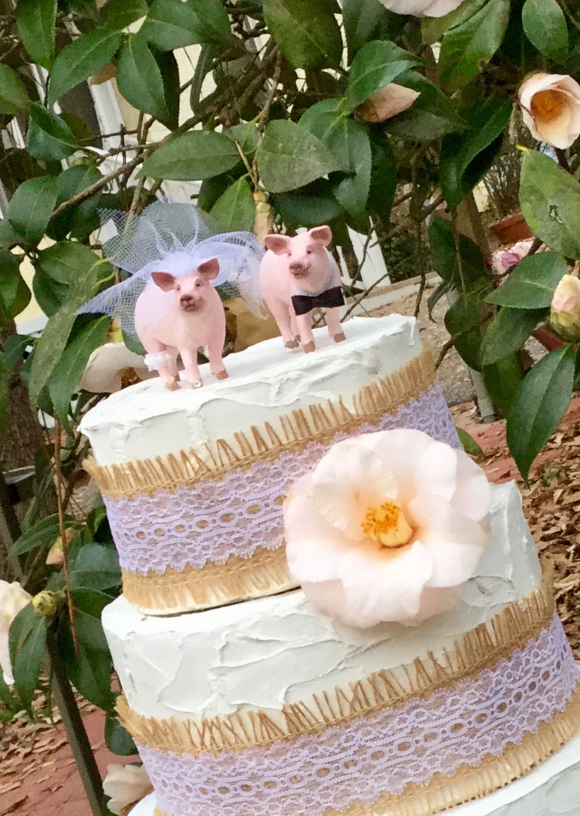 Wedding Cake Topper Pig Cake Topper Bride and Groom Cake | Etsy