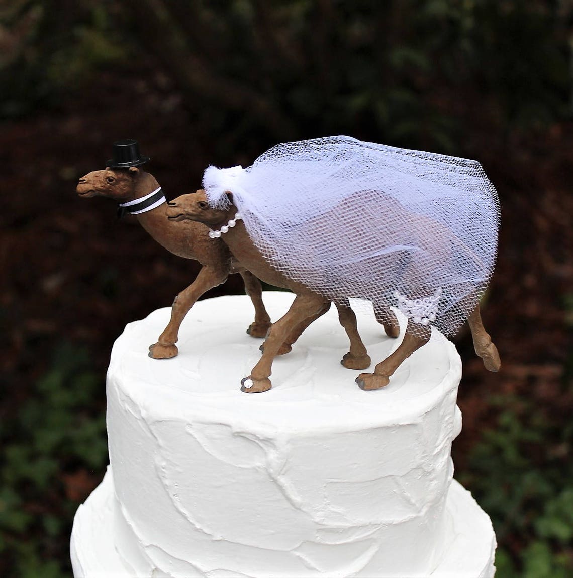Camel Cake Topper, Wedding-animal-bride-groom-desert-unique-funny-camel ...