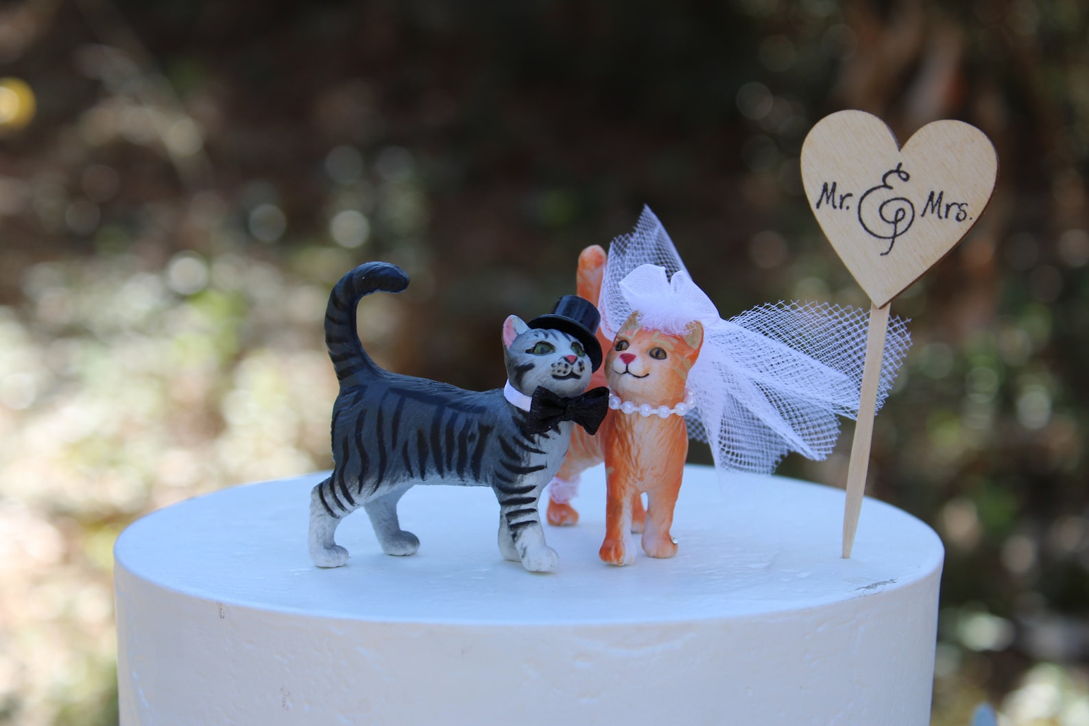 Cat-wedding-cake-funny-tabby Cat-bride-groom - Etsy