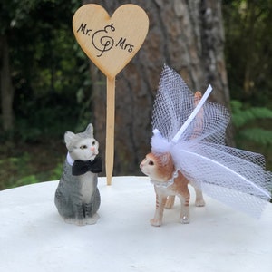Cat-wedding-pet-animal-bride-groom - Etsy