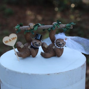 Sloth-bear-bride-groom-animal-rainforest-brown-wildlife-unique-funny ...