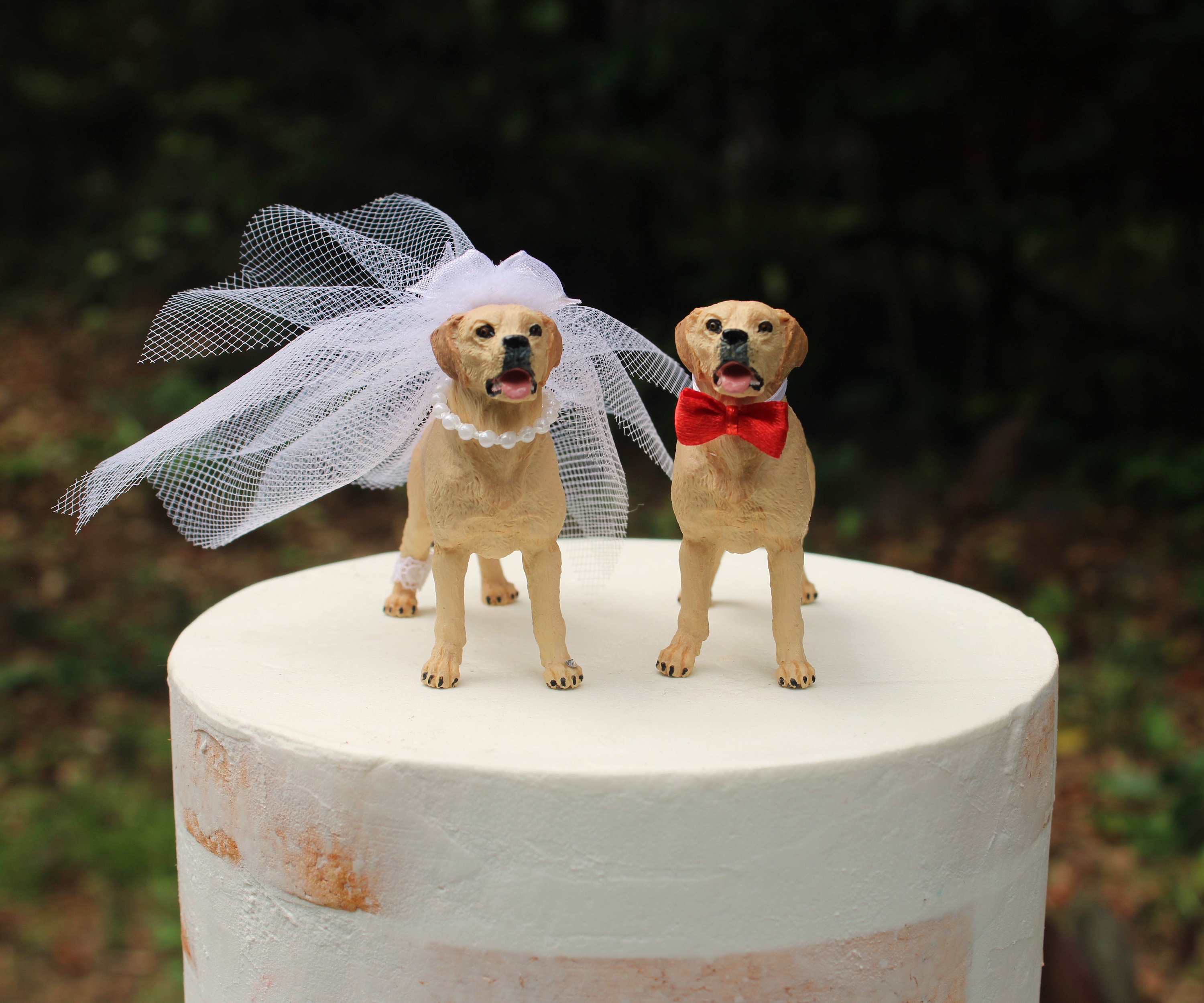 Yellow Lab-dog-labrador Retriever-bride-groom-wedding-animal-cake ...