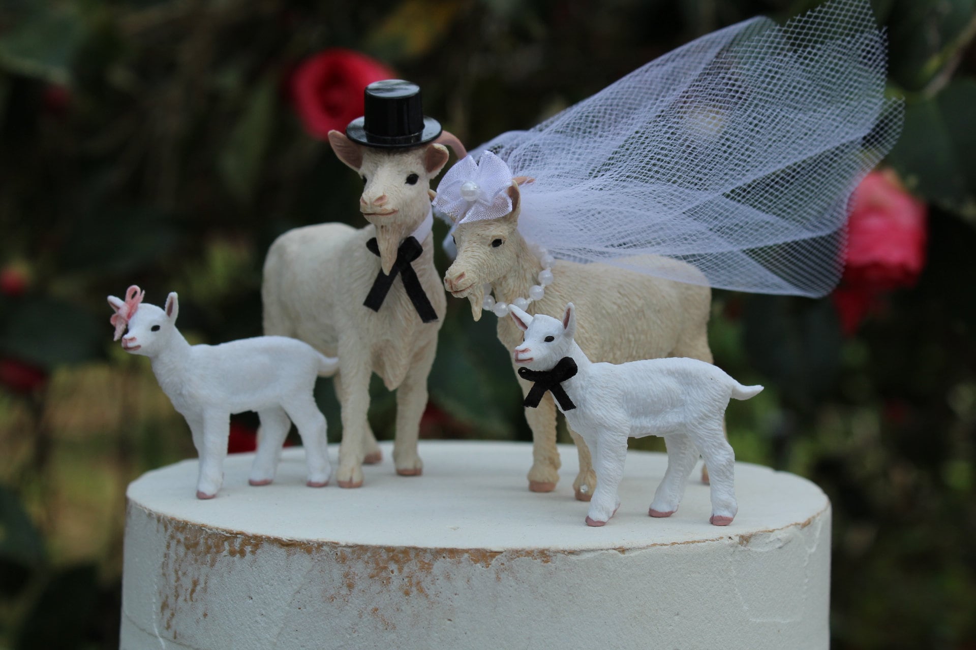 Goat Cake Topper-family-animal-kid Goat-billy Goat-nanny Goat-funny ...