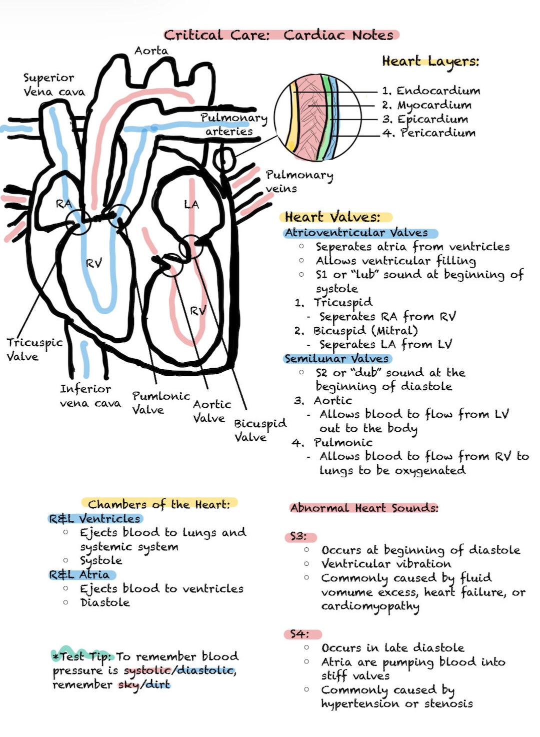 Cardiac Nursing Notes - Etsy