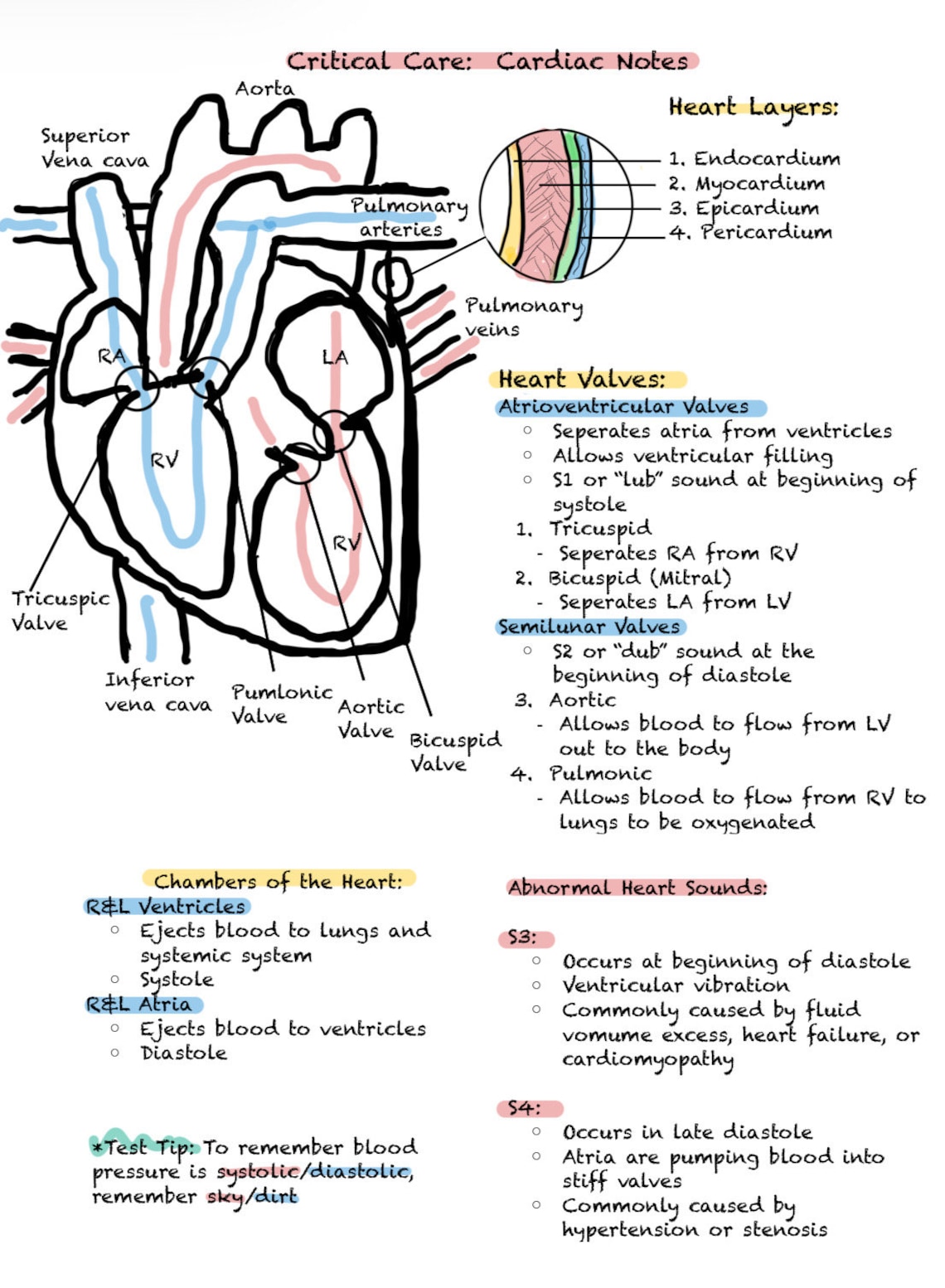 Cardiac Nursing Notes - Etsy