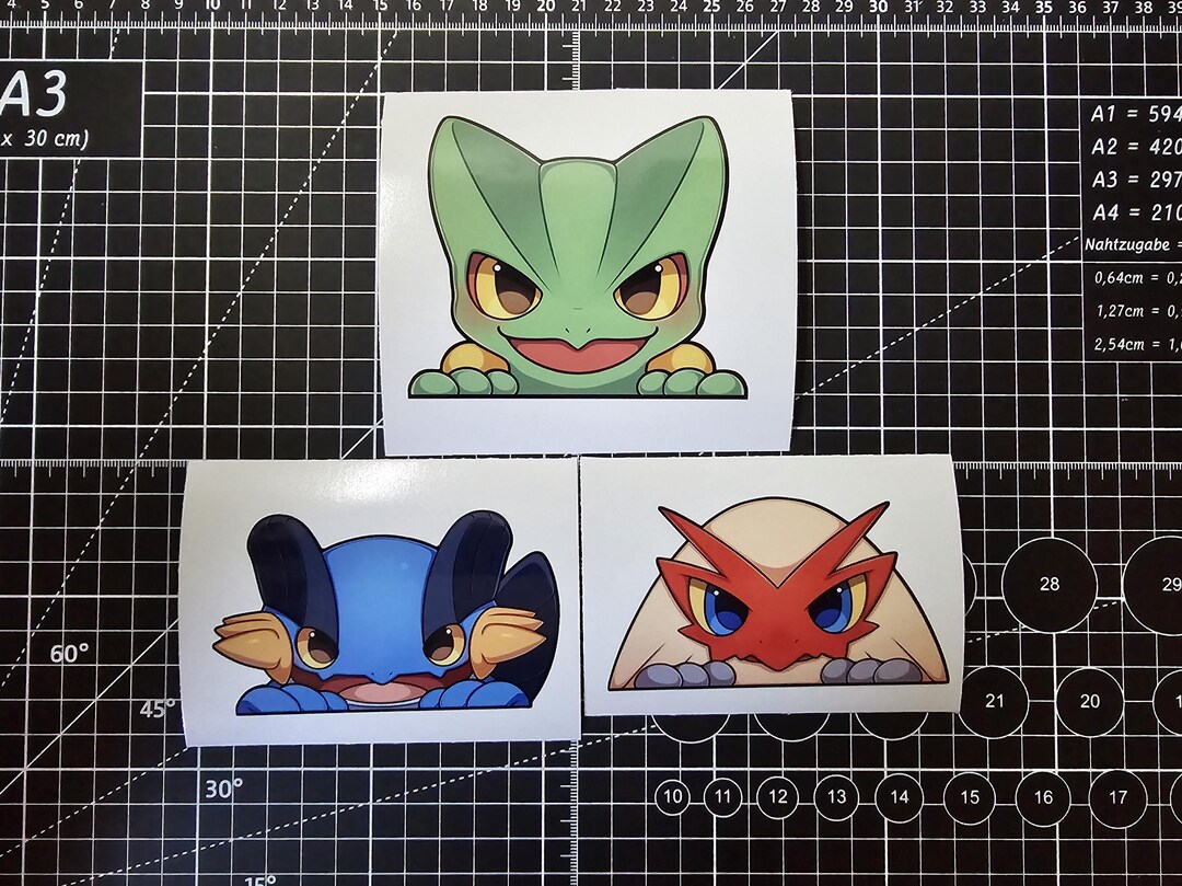 Glossy Gen 3 Pokemon Peeker Laminated Vinyl - Etsy