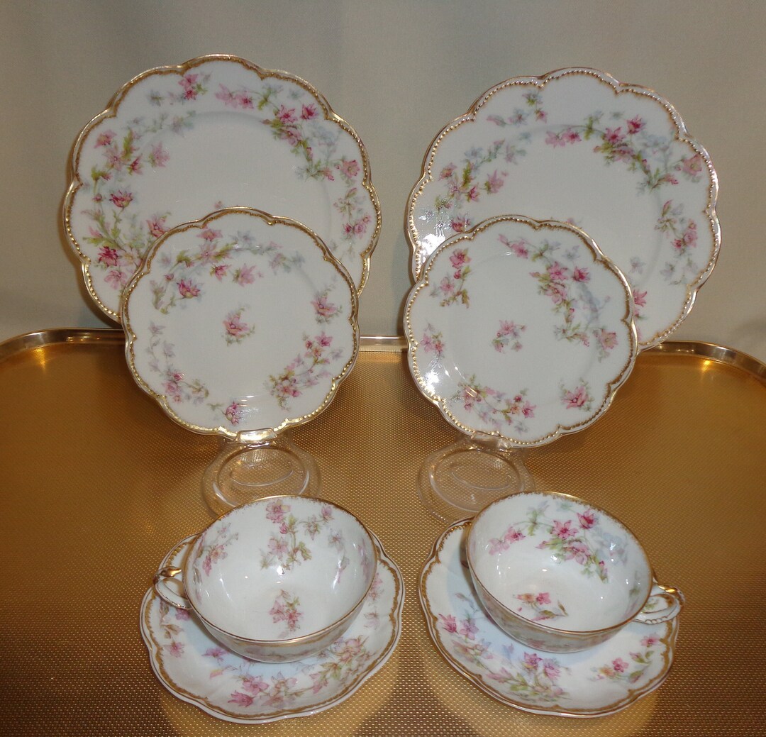Vintage Haviland Limoges of France Pink Floral Tea Service/set - Etsy
