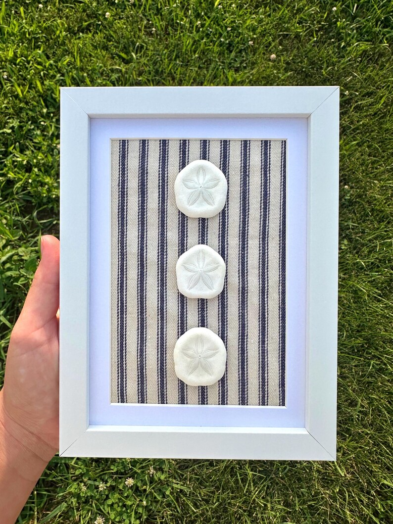Sand Dollar Art Picture - Etsy