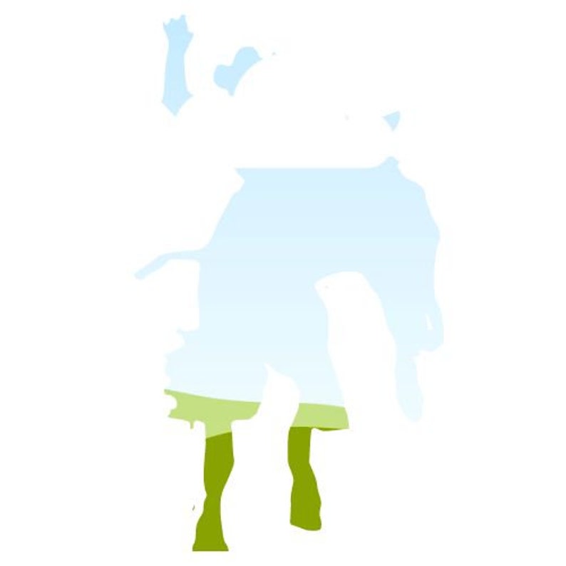 Rodeo: Bareback Mark Out Front View Frame - Etsy