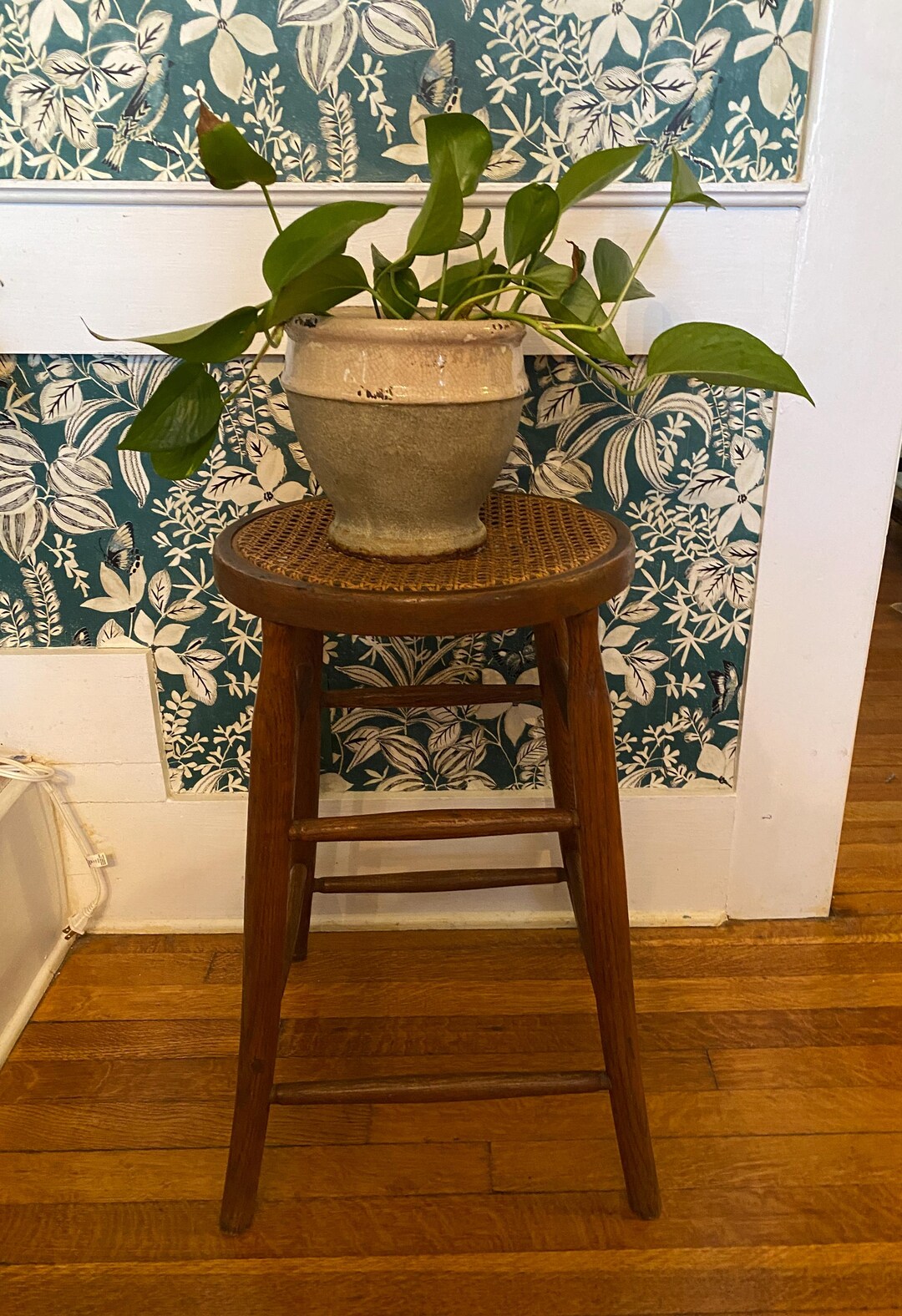 Vintage MCM Bentwood Cane Stool - Etsy