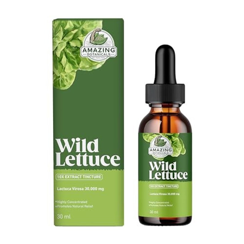 Amazing Botanicals Wild Lettuce 10X Extract Tincture 30,000 Mg 30ml/1oz ...