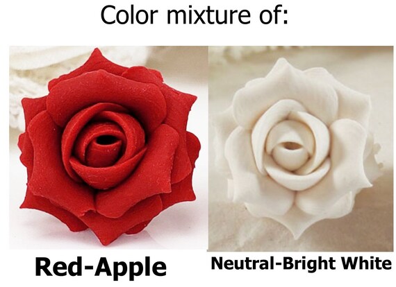 White Roses With Red Tips