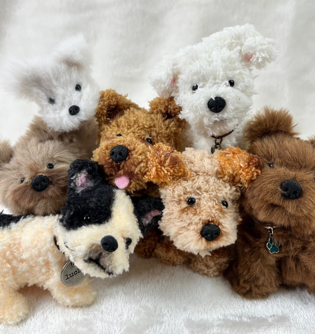 Floof Dog of the Month Club, Mutts, Mix Dogs, Doll Pets, Miniature Dogs ...