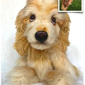 CUSTOM Cocker Spaniel Plush, Cocker Spaniel Replica, Cocker Spaniel ...