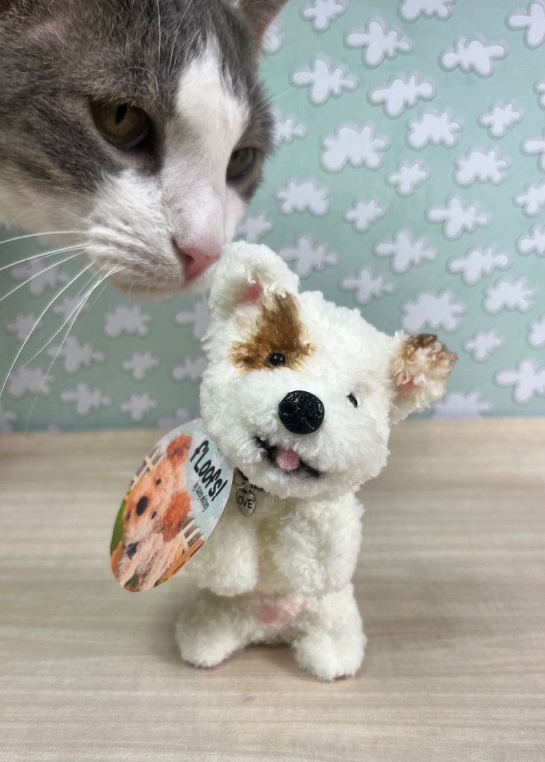 Floof Dog of the Month Club, Mutts, Mix Dogs, Doll Pets, Miniature Dogs ...