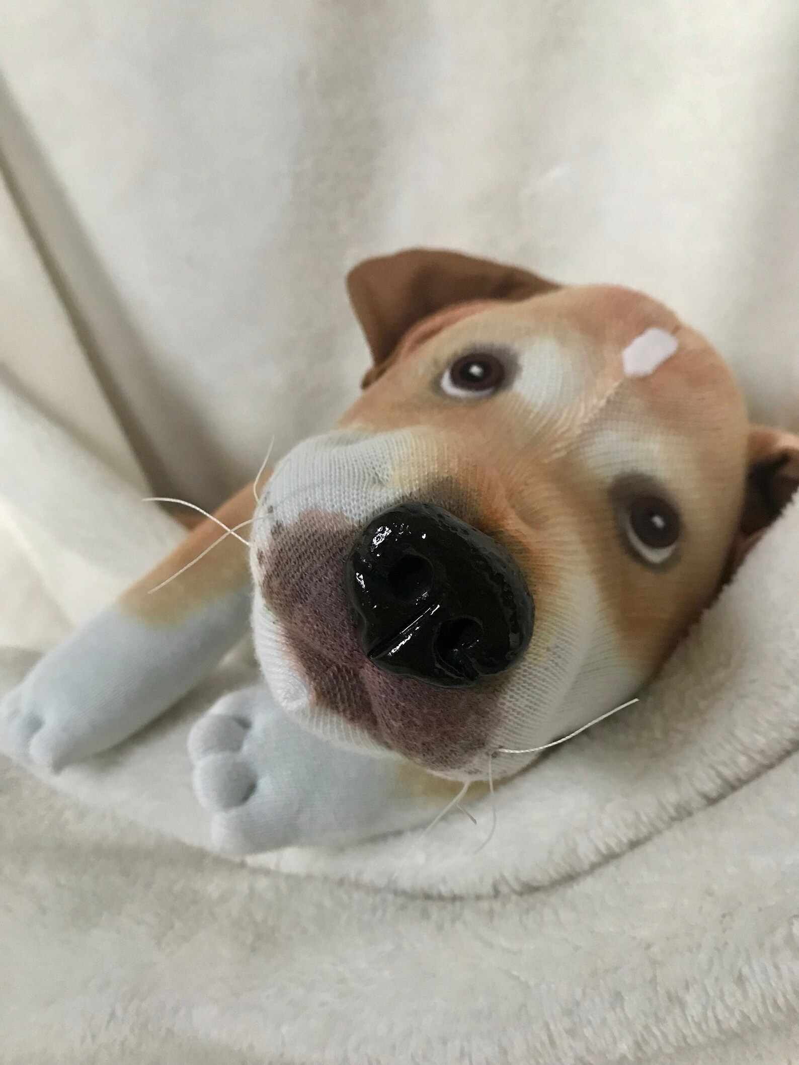 CUSTOM Pitbull Replica, Pitbull Dog Plushie, Pit Bull Stuffed Animal ...