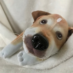 CUSTOM Pitbull Replica, Pit Bull Stuffed Animal, Plush Pitbull, Bully ...