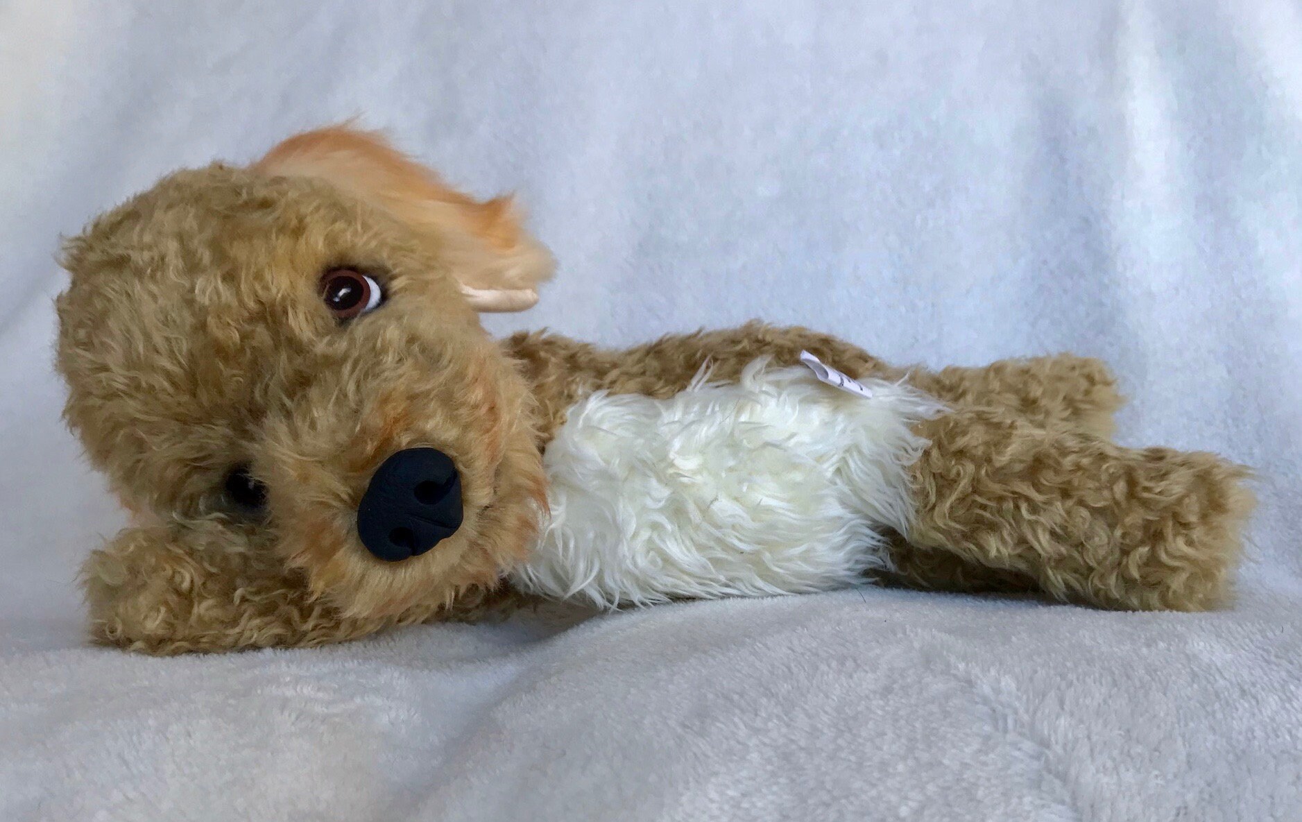 CUSTOM Cockapoo Plush, Cockapoo Replica, Cockapoo Stuffed, Plush ...