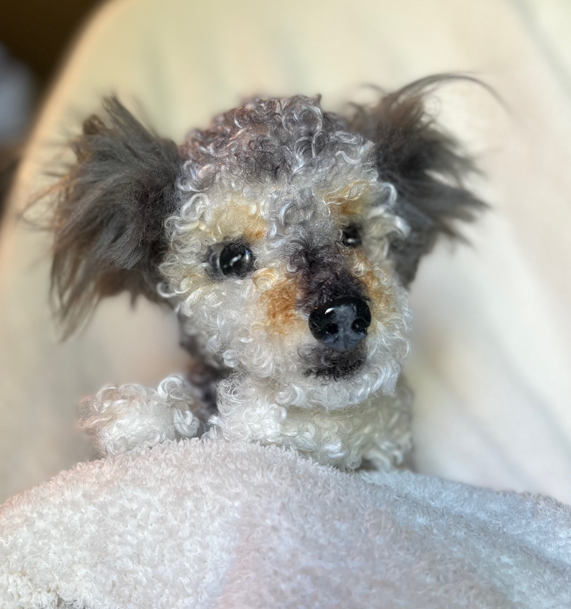 CUSTOM Poodle Plush, Poodle Replica, Poodle Stuffed, Poodle Keepsake ...