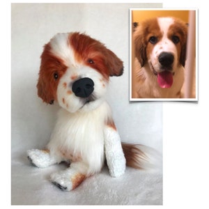 Custom Stuffed Animal, Stuffed Animal Pet, Pet Replica, Pet Portrait ...