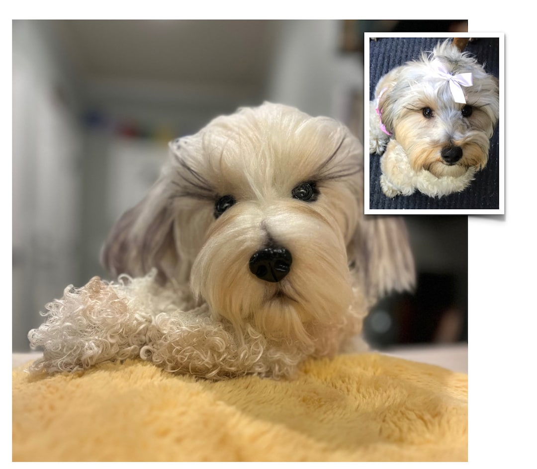 CUSTOM Maltese Plush, Maltese Replica, Maltese Stuffed, Plush Maltese ...