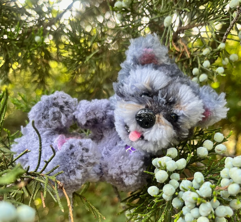 Floof Dog of the Month Club, Mutts, Mix Dogs, Doll Pets, Miniature Dogs ...