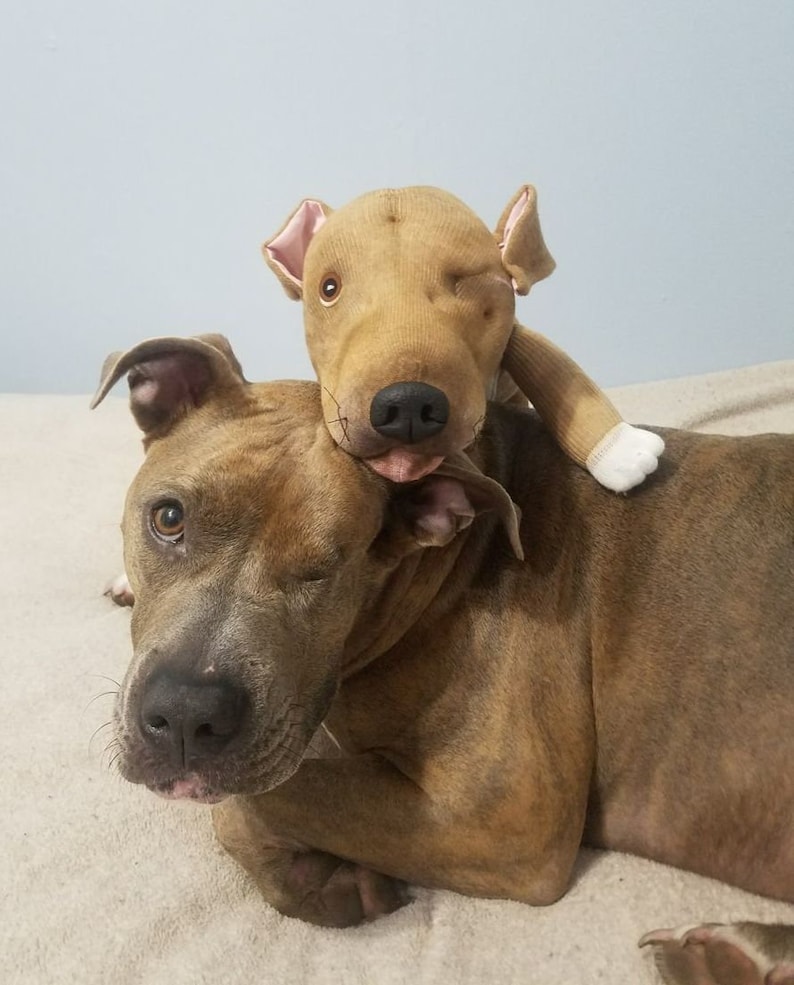 CUSTOM Pitbull Replica, Pitbull Dog Plushie, Pit Bull Stuffed Animal ...