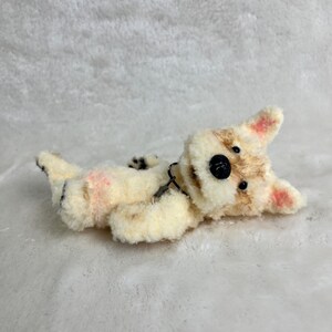Floof Dog of the Month Club, Mutts, Mix Dogs, Doll Pets, Miniature Dogs ...