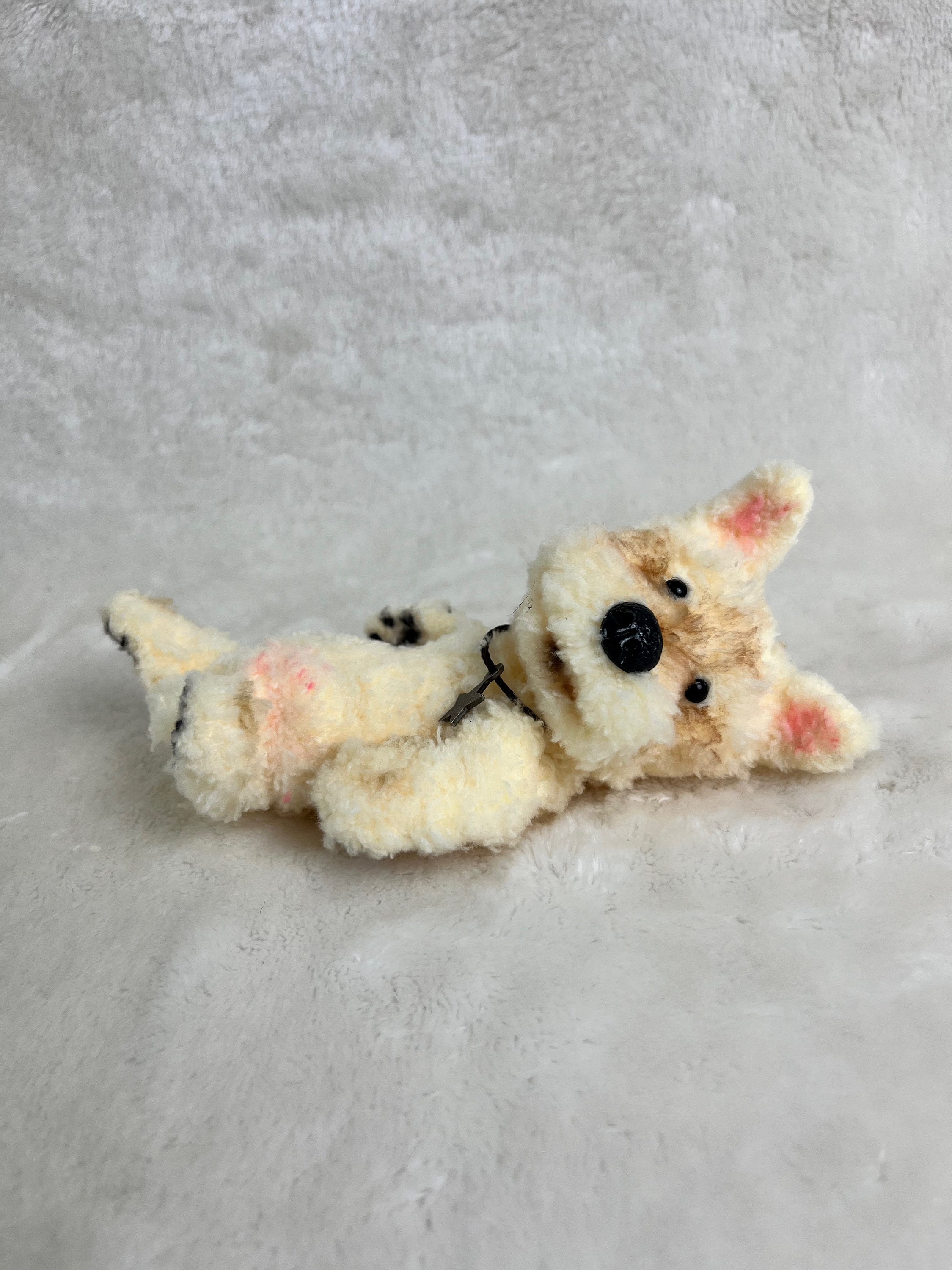 Floof Dog of the Month Club, Mutts, Mix Dogs, Doll Pets, Miniature Dogs ...