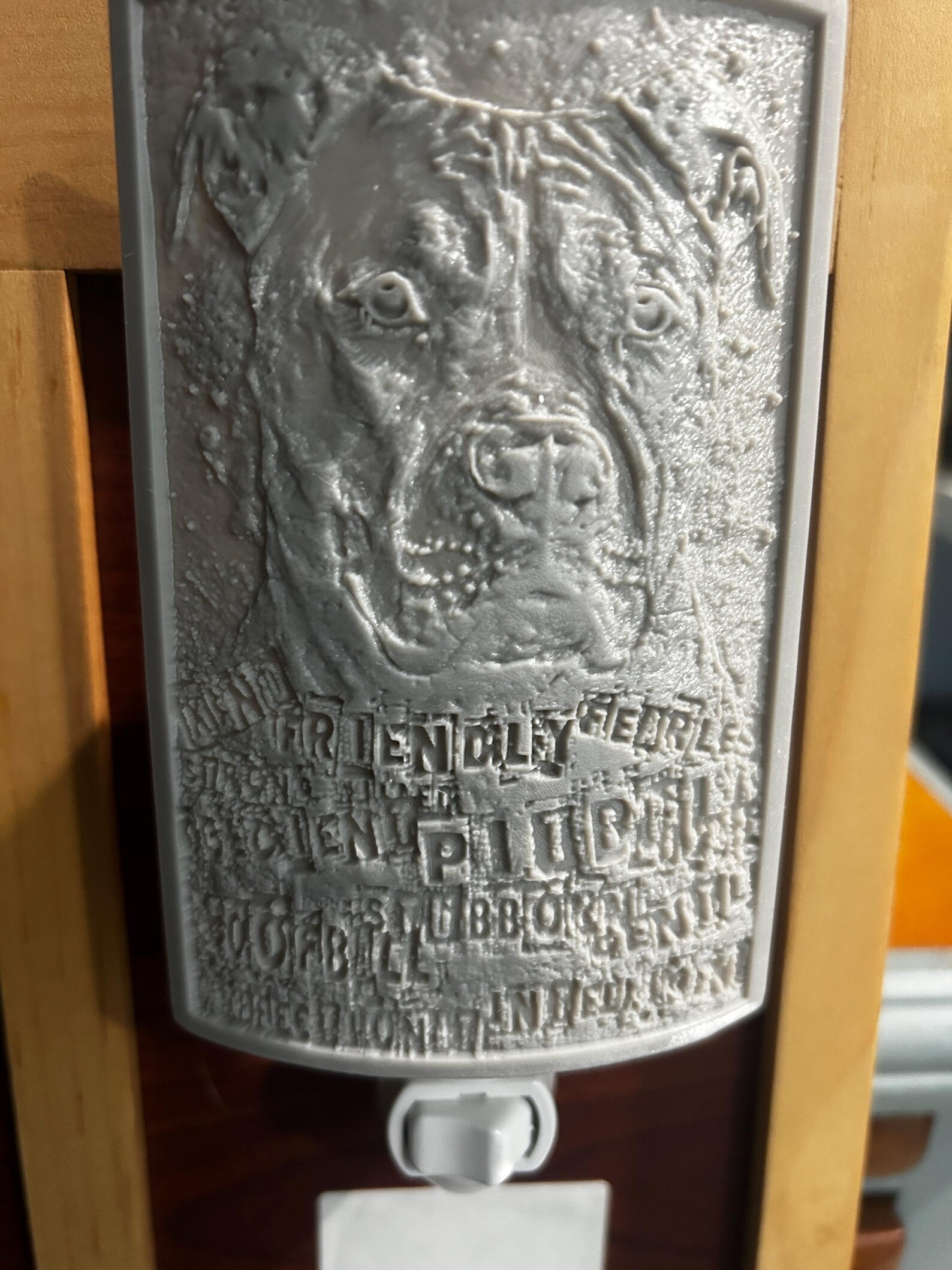 Pitbull Dog Unique Custom Made 3D Lithophane Night-light - Etsy