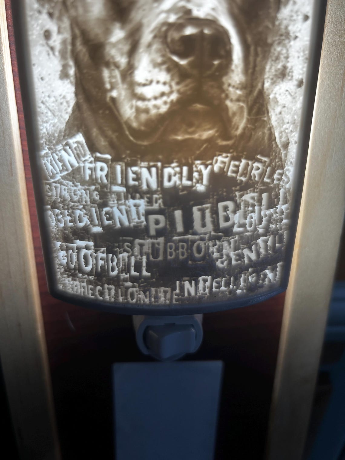 Pitbull Dog Unique Custom Made 3D Lithophane Night-light - Etsy