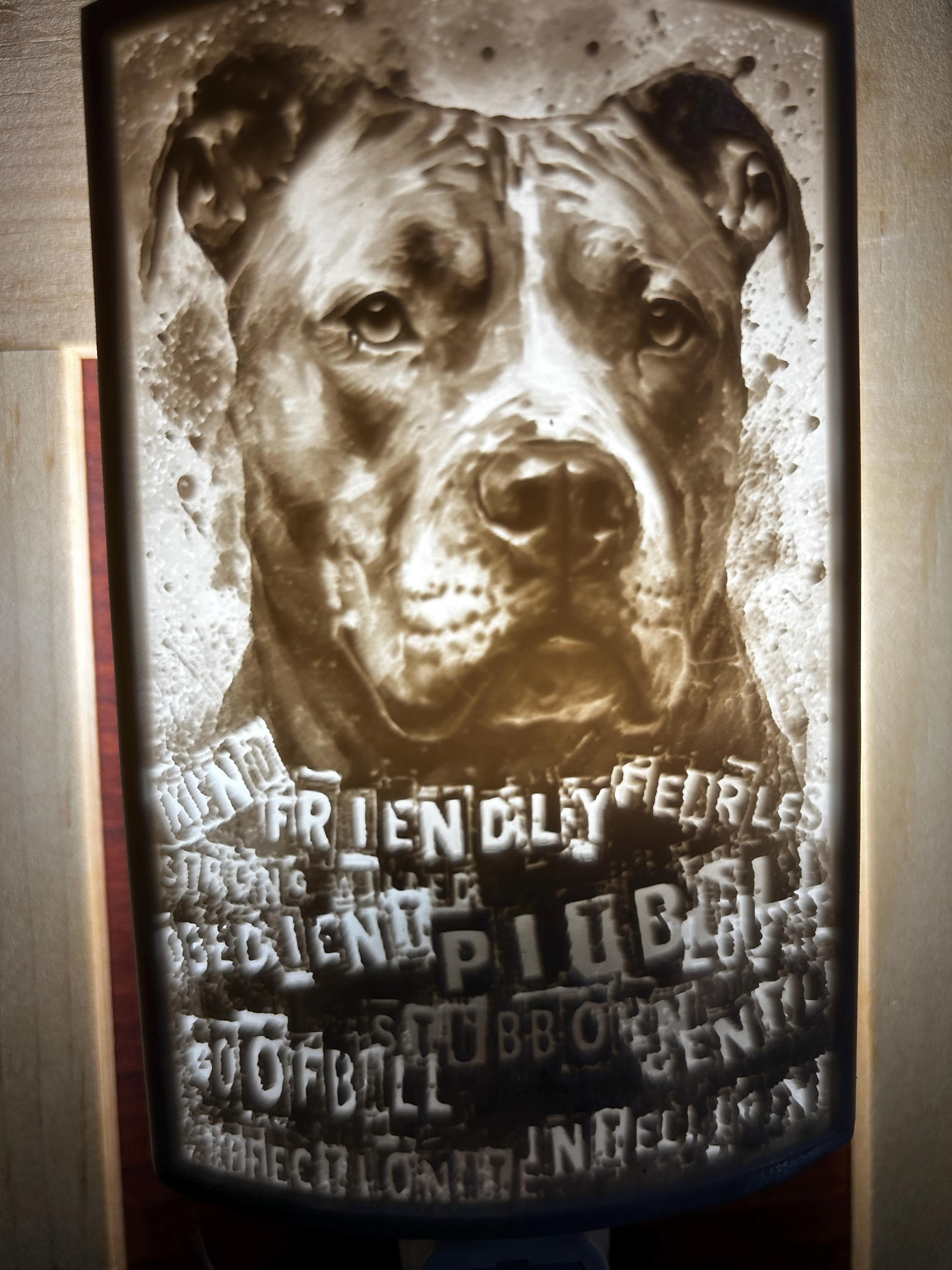 Pitbull Dog Unique Custom Made 3D Lithophane Night-light - Etsy