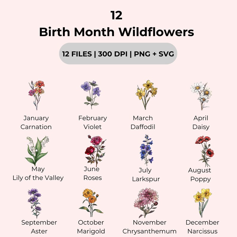 Birthmonth Wildflower Bundle, PNG and SVG for Cricut, Botanical Flower ...