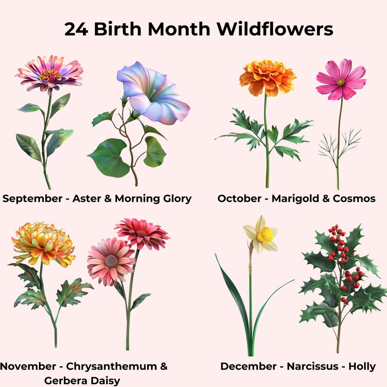 3D Birthmonth Wildflower PNG Bundle, Botanical Flower Clipart, Floral ...