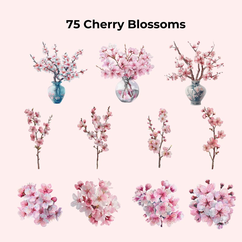 Cherry Blossom PNG SVG Bundle - Pink Floral Frames - Wildflower Bouquet ...
